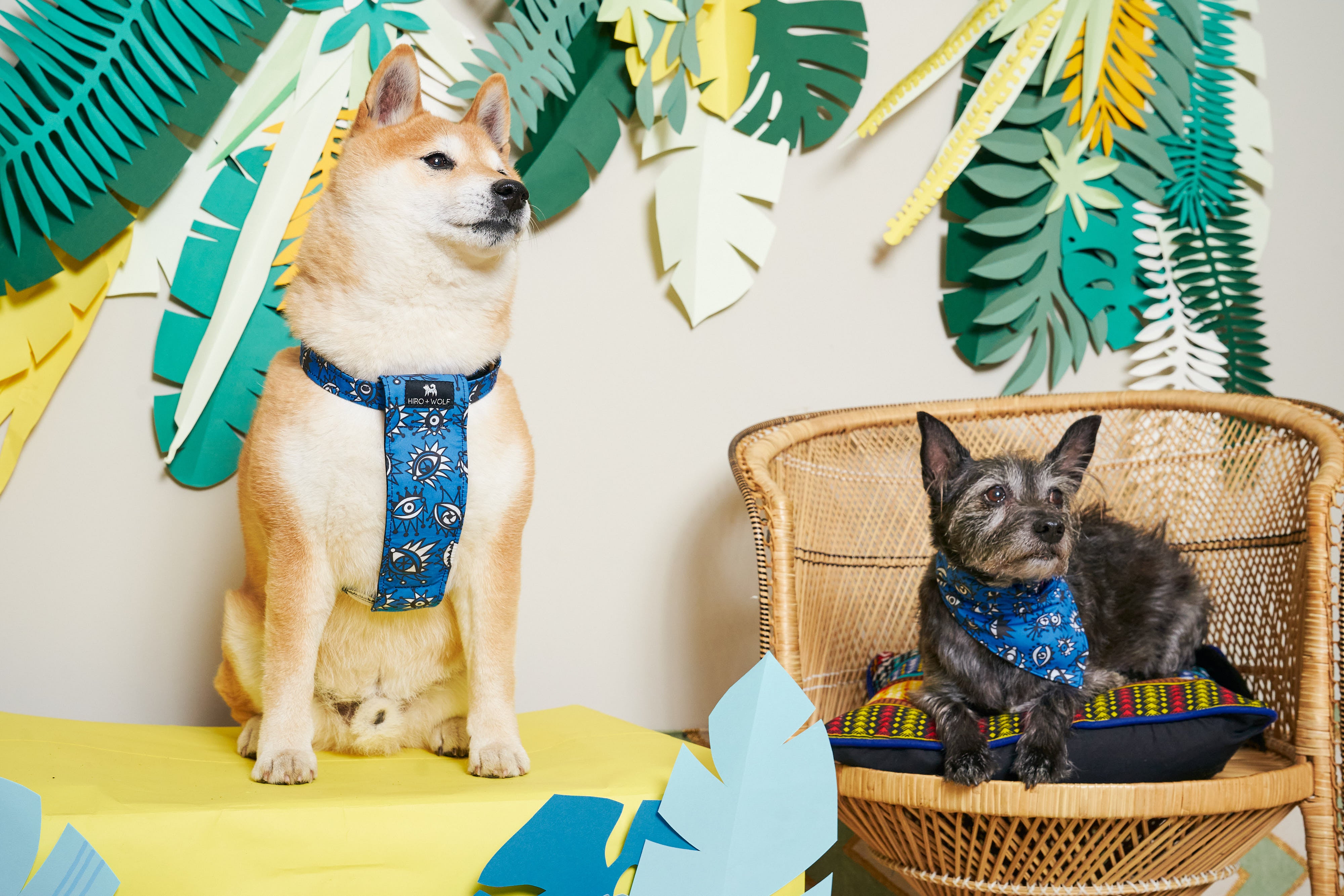 Introducing Our New Vegan Range – Hiro + Wolf