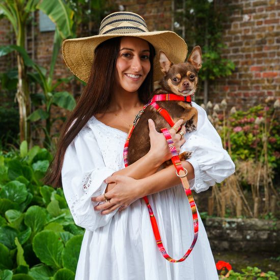 How to Celebrate Mother's Day With Your Pet – Hiro + Wolf