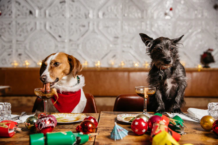 Cat + Dog Friendly Christmas Dinner – Hiro + Wolf