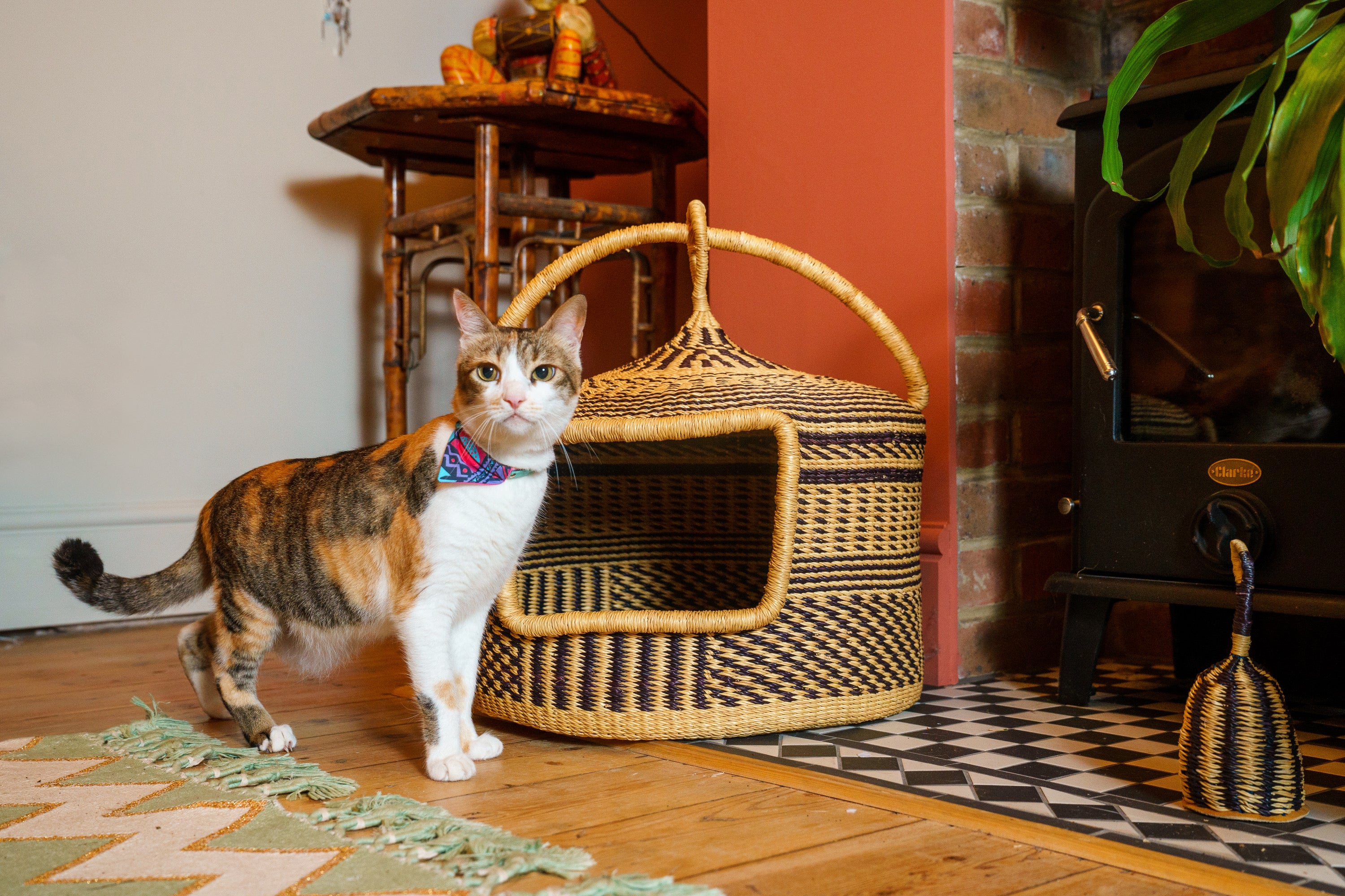 Our Cat Baskets | As Seen in The Times – Hiro + Wolf