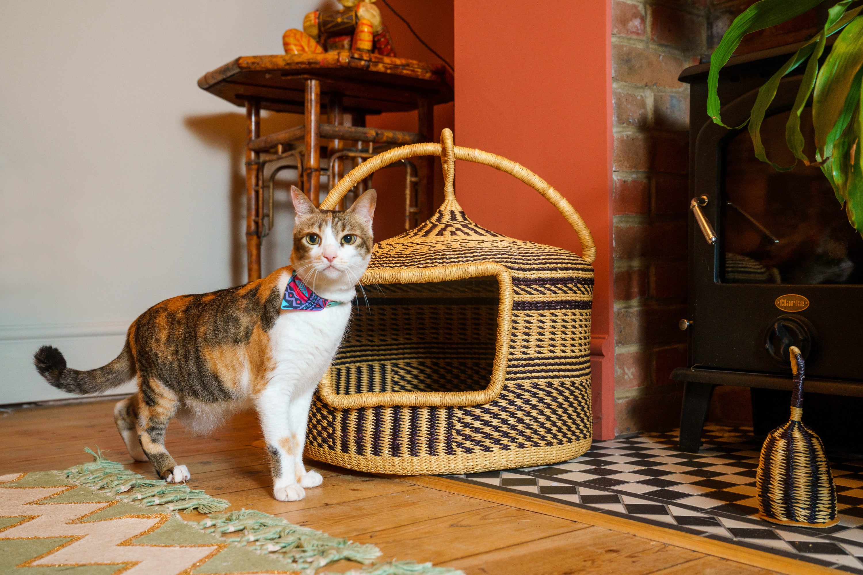 Introducing Our Hand Made Cat Baskets – Hiro + Wolf