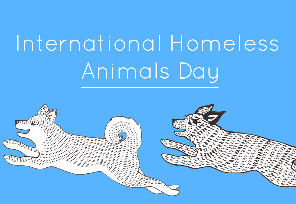 International Homeless Animals Day | Hiro + Wolf