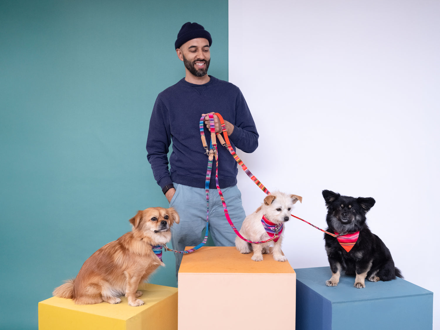 3 Innovative Dog Leash Designs for the Fashionable Pet Parent – Hiro + Wolf