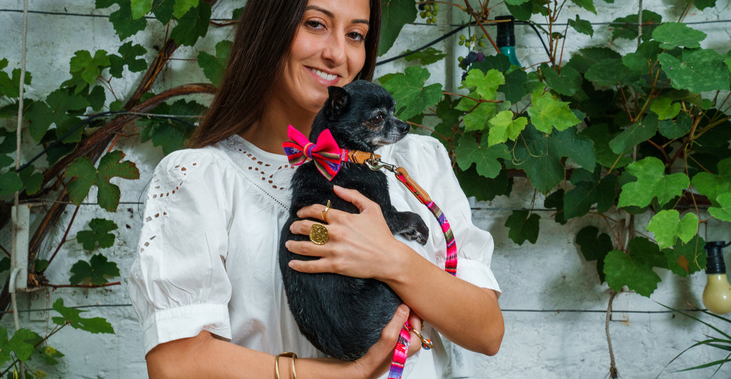 How to Have a Happy Hound | National Hug Your Hound Day – Hiro + Wolf