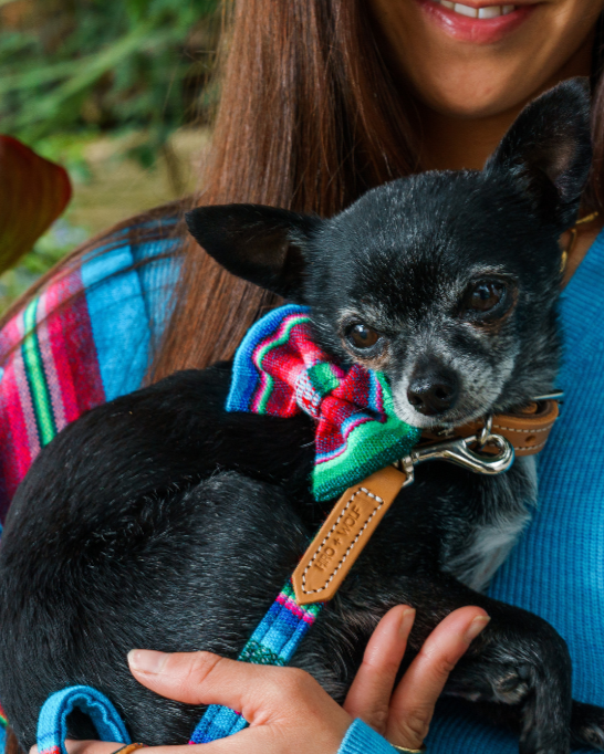 Hiro + Wolf | Inca Blue Bow Tie