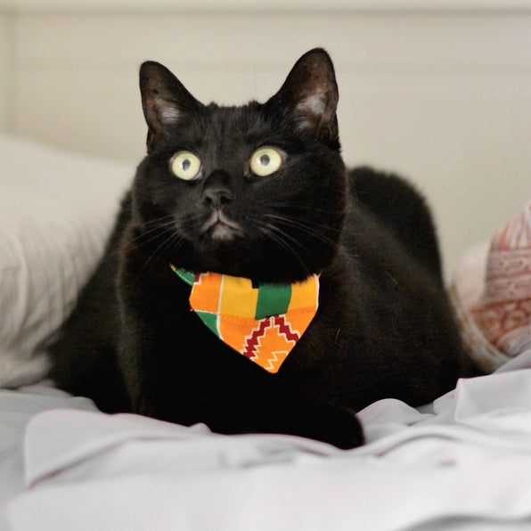 Cat Bandanas | Hiro + Wolf